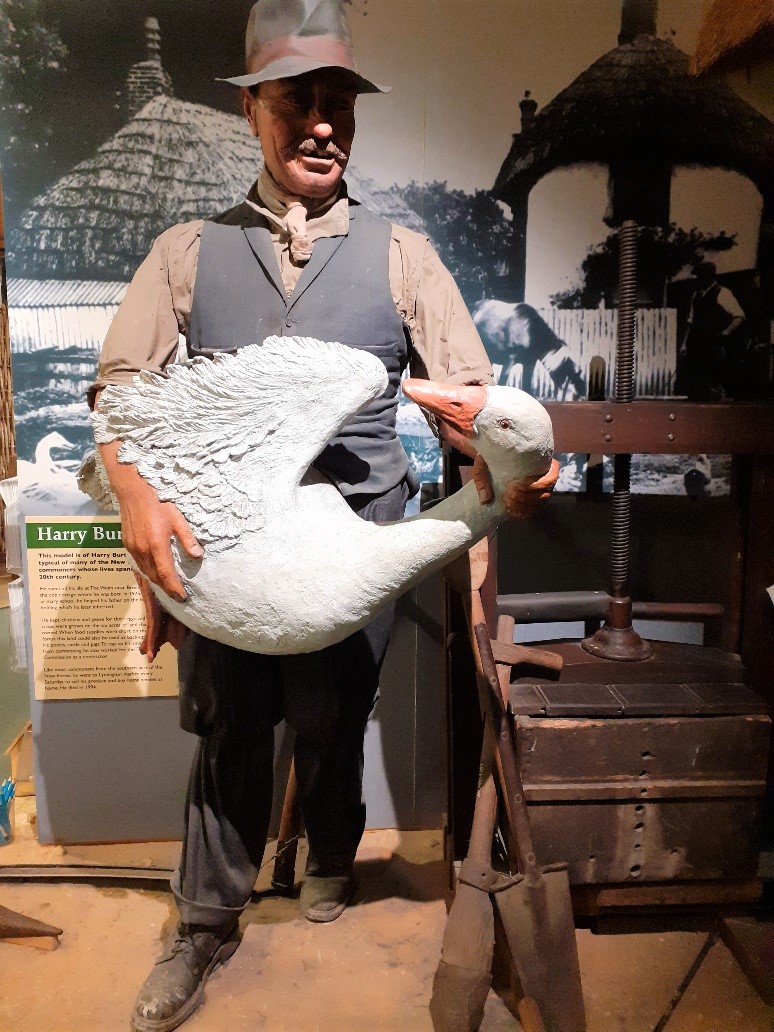 Harry James Burt | British Resistance Archive (staybehinds.com)